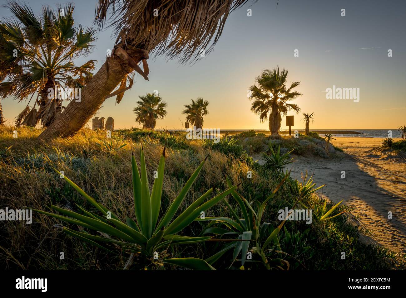 Ladispoli beach hi-res stock photography and images - Alamy