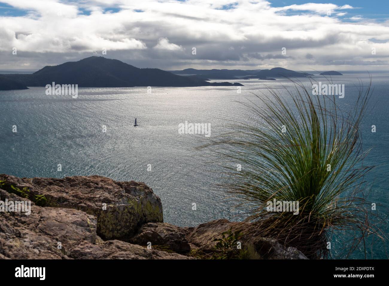 Hamilton beach new zealand hi-res stock photography and images - Alamy