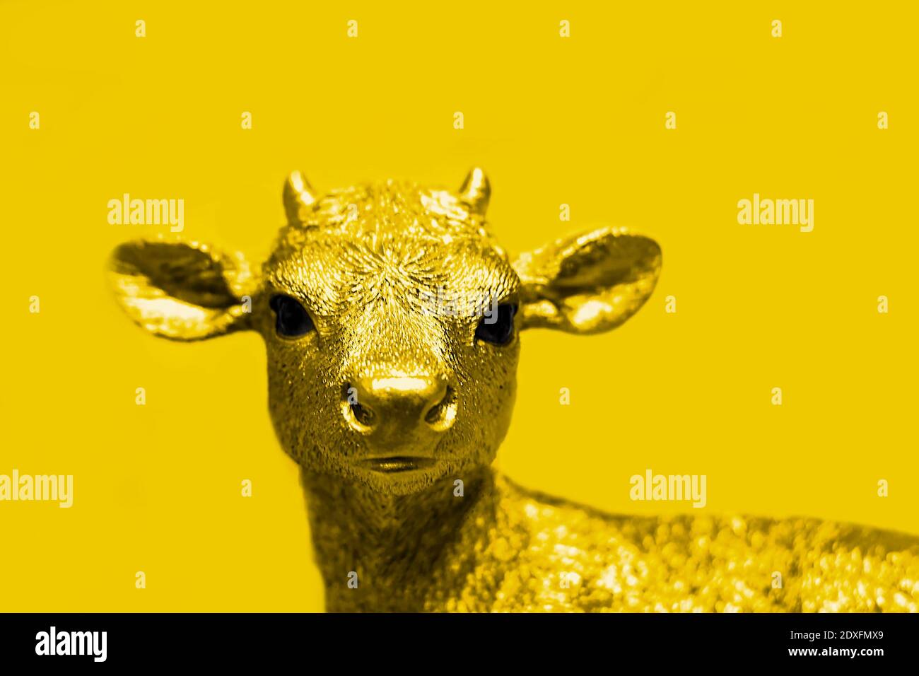 Yellow tinting. Portrait. View from the front Stock Photo - Alamy