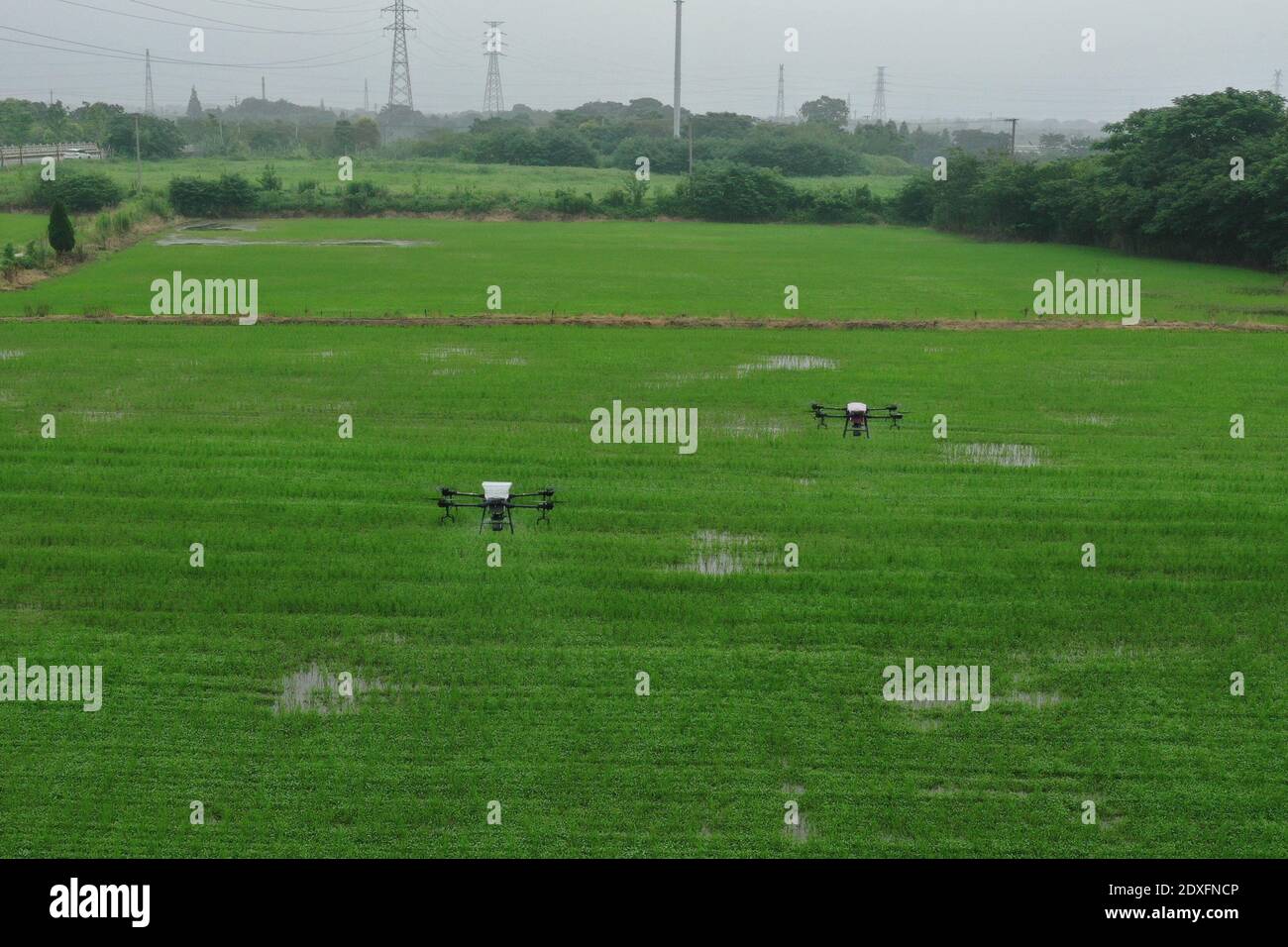 Making a paddy field hi-res stock photography and images - Alamy