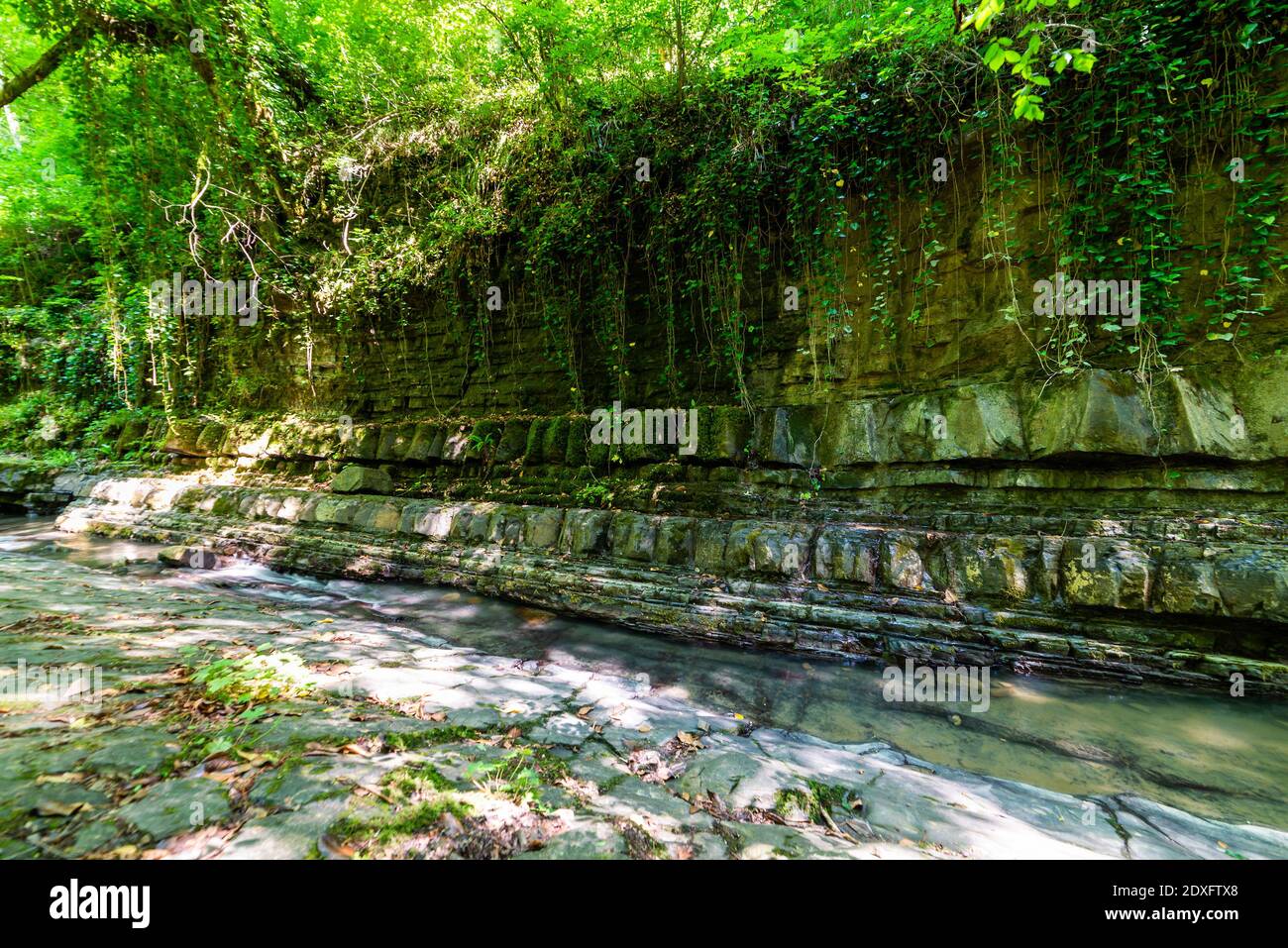 Textures of various stone layers in mountain river Stock Photo - Alamy