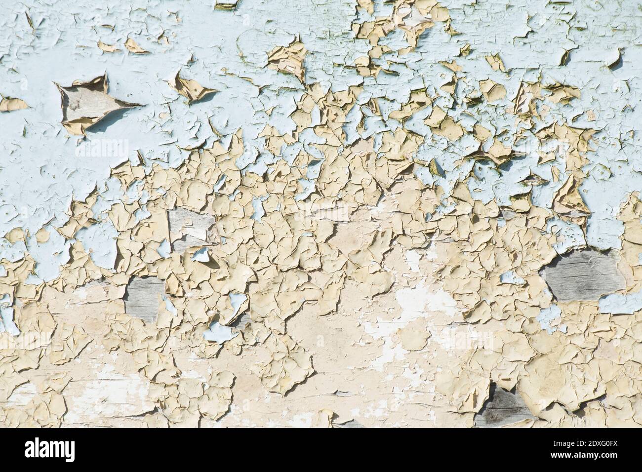 A very deteriorated wall by the time in blue and ocher color Stock ...