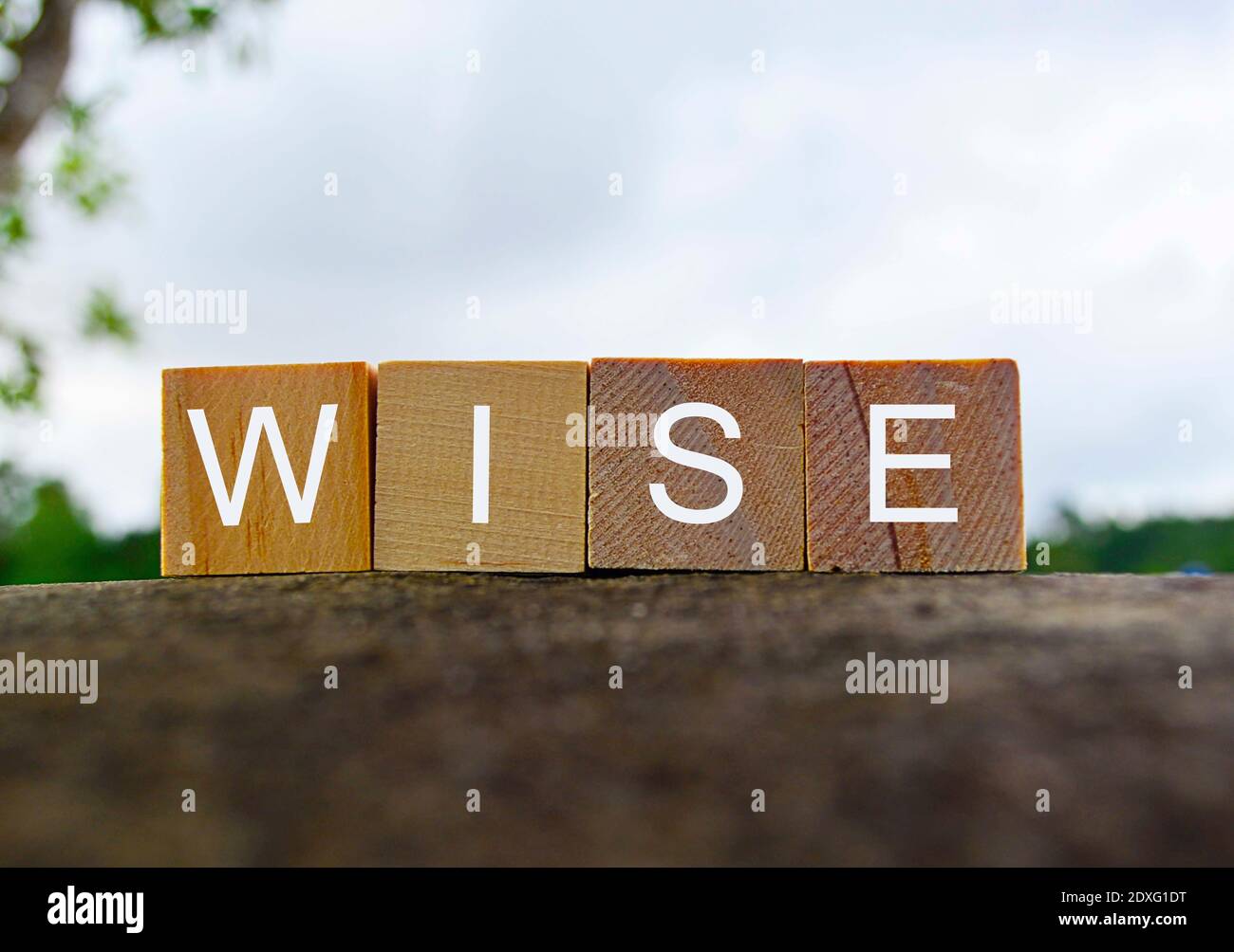 Wise text on wooden cube block on top of big stone with blurred tree ...