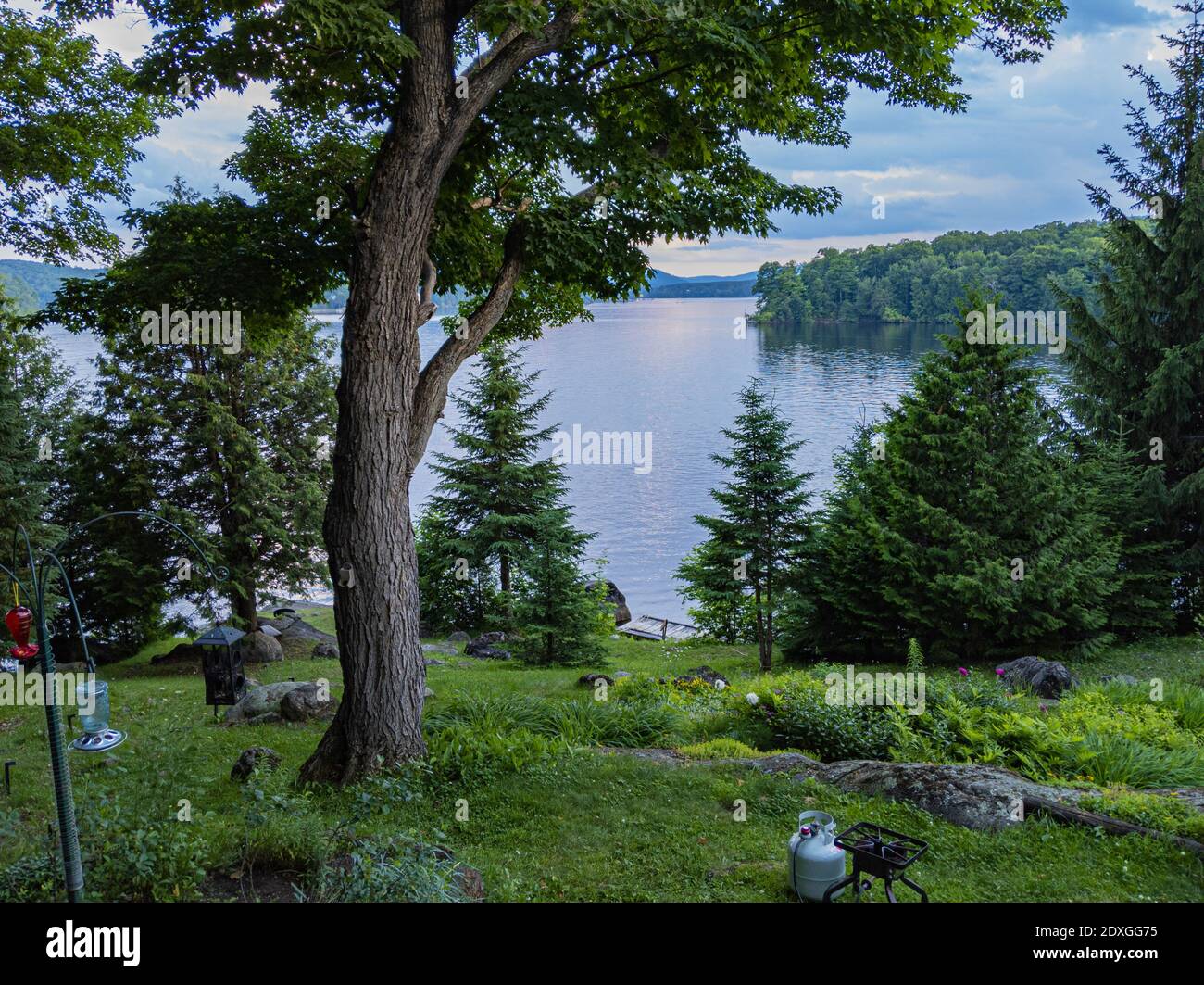 Grassy backyard with trees and wooden dock on edge of lake Stock Photo ...