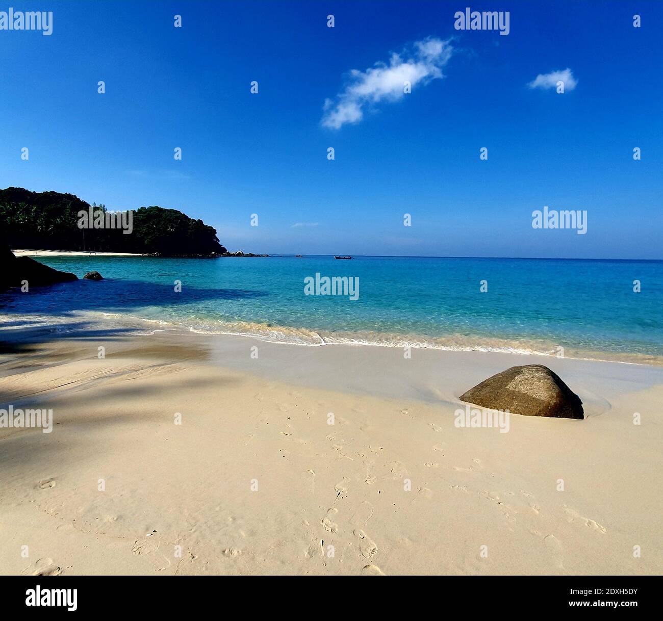 Beach sea life more hi-res stock photography and images - Alamy