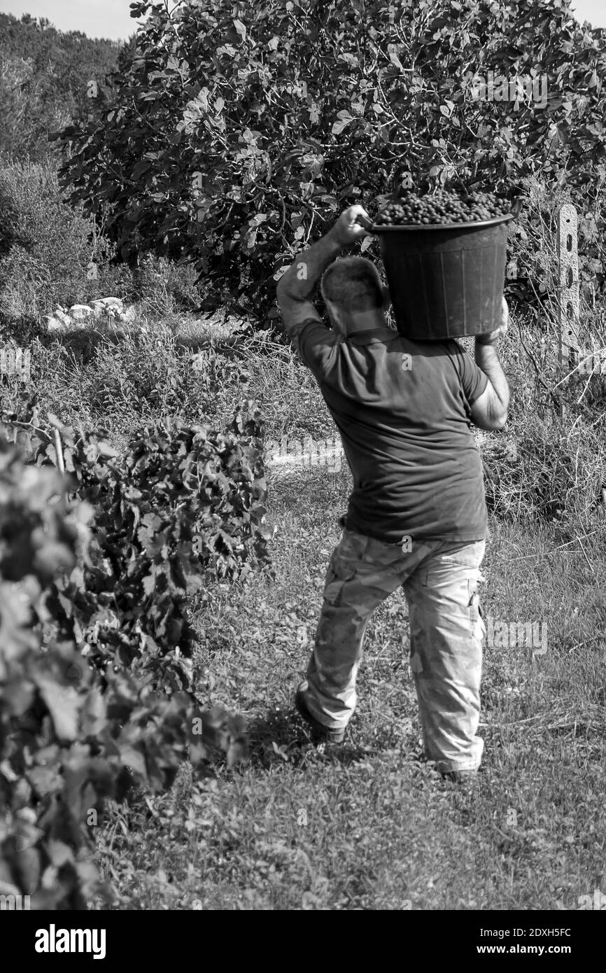 Full bucket Black and White Stock Photos & Images - Alamy