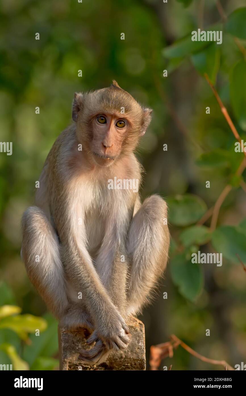 Inattentive hi-res stock photography and images - Alamy