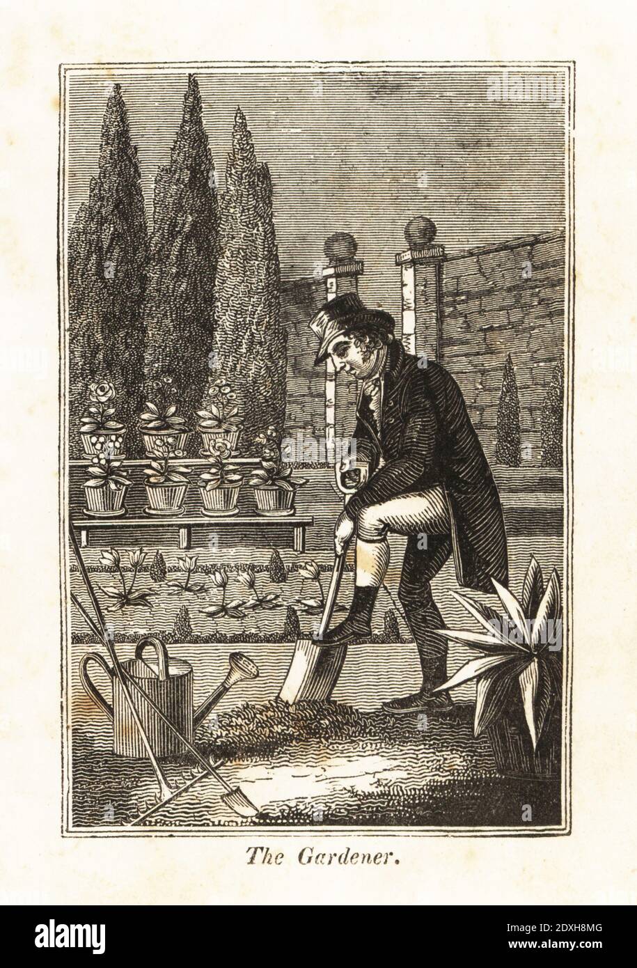 Georgian rake hi-res stock photography and images - Alamy