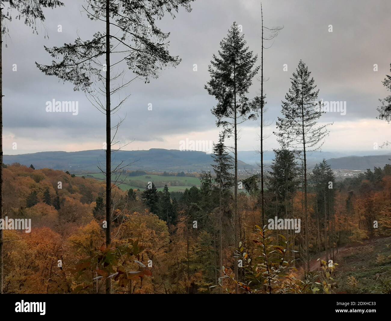 Schweich, germany hi-res stock photography and images - Alamy