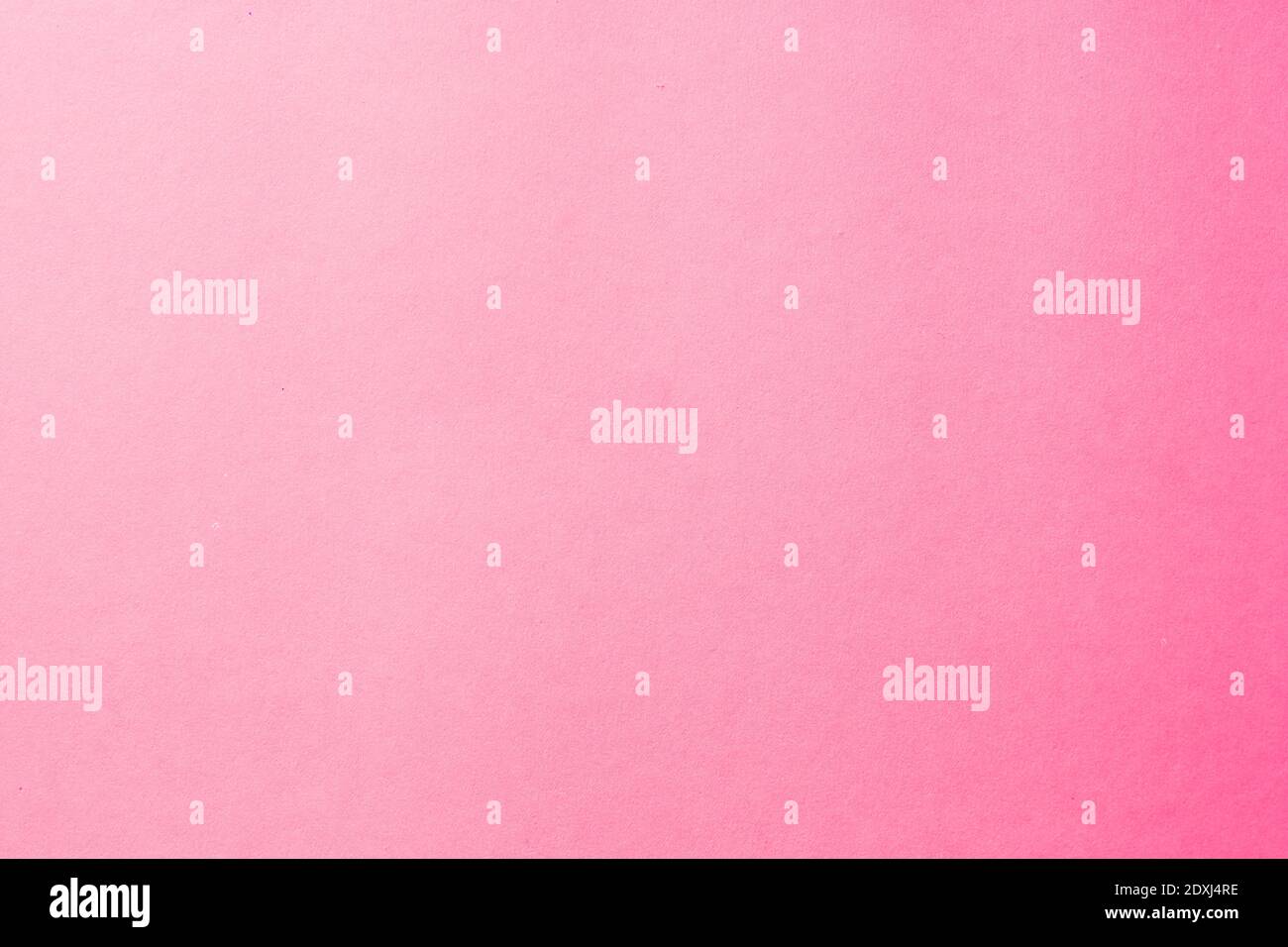 Empty pink color paper background. Clean gradient prism pink textured ...