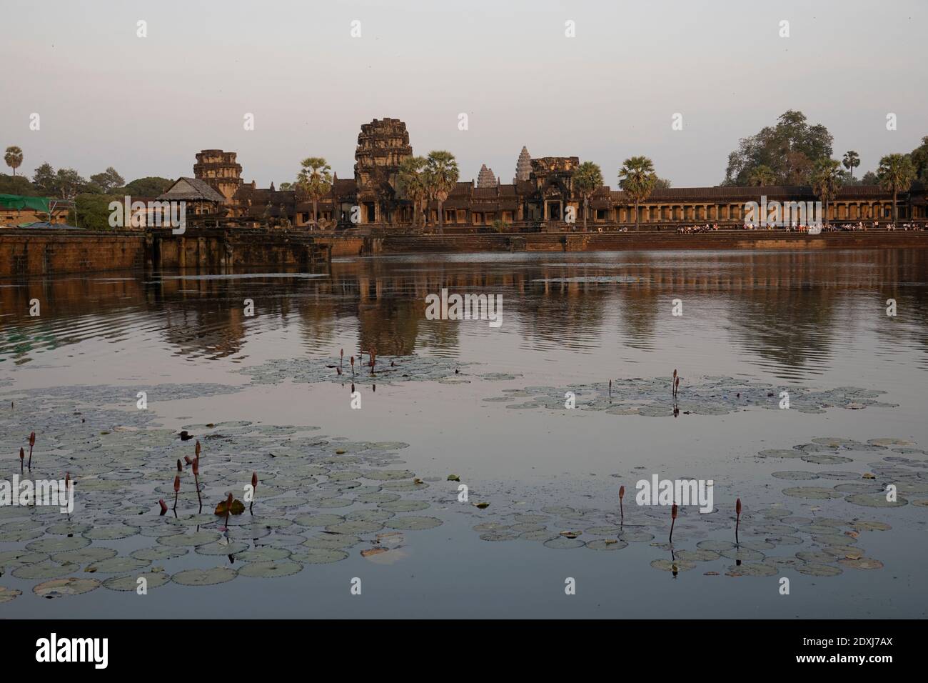 Lake bordering Angkor Wat temple Stock Photo - Alamy