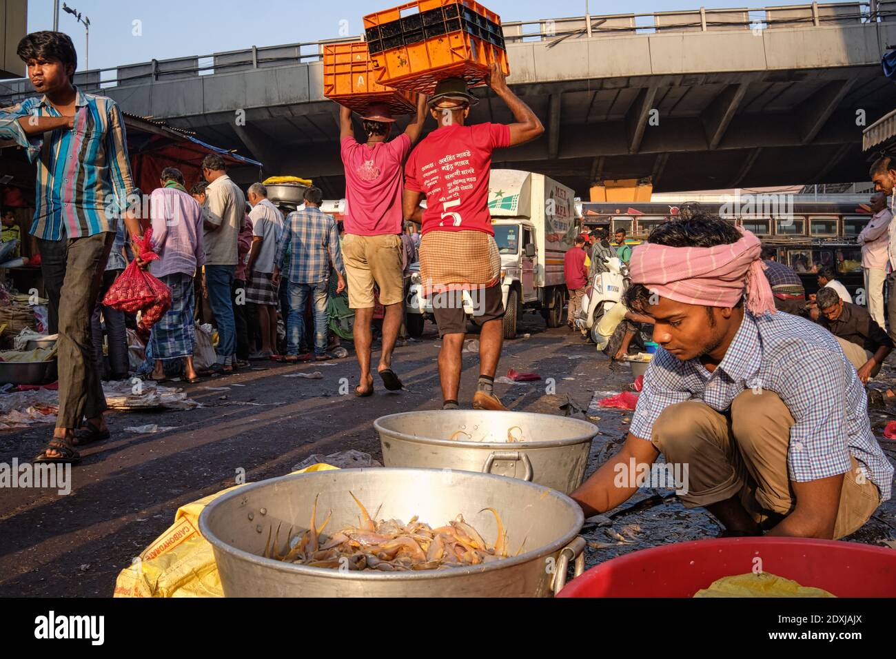 A small-time seafood vendor sorting shrimp at an open-air fish market ...