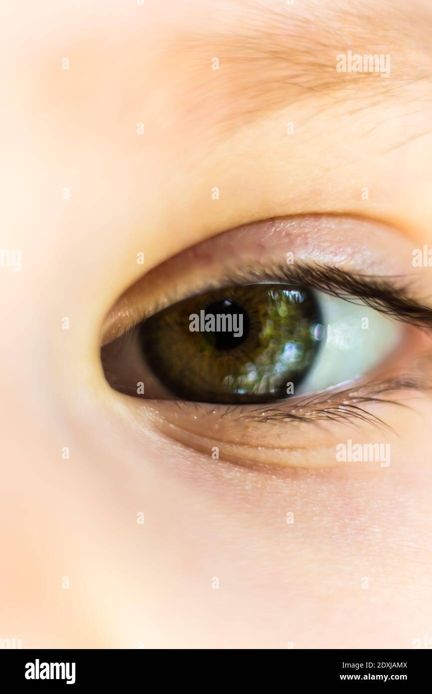 Human eye looking hi-res stock photography and images - Alamy