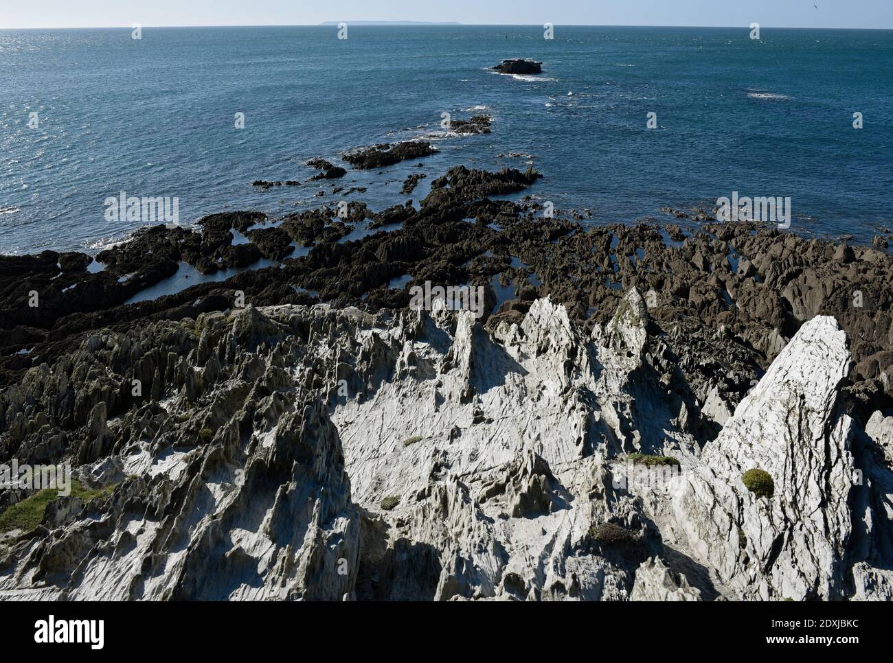 The jagged tip of Morte Point, Morthoe, North Devon, England Stock ...