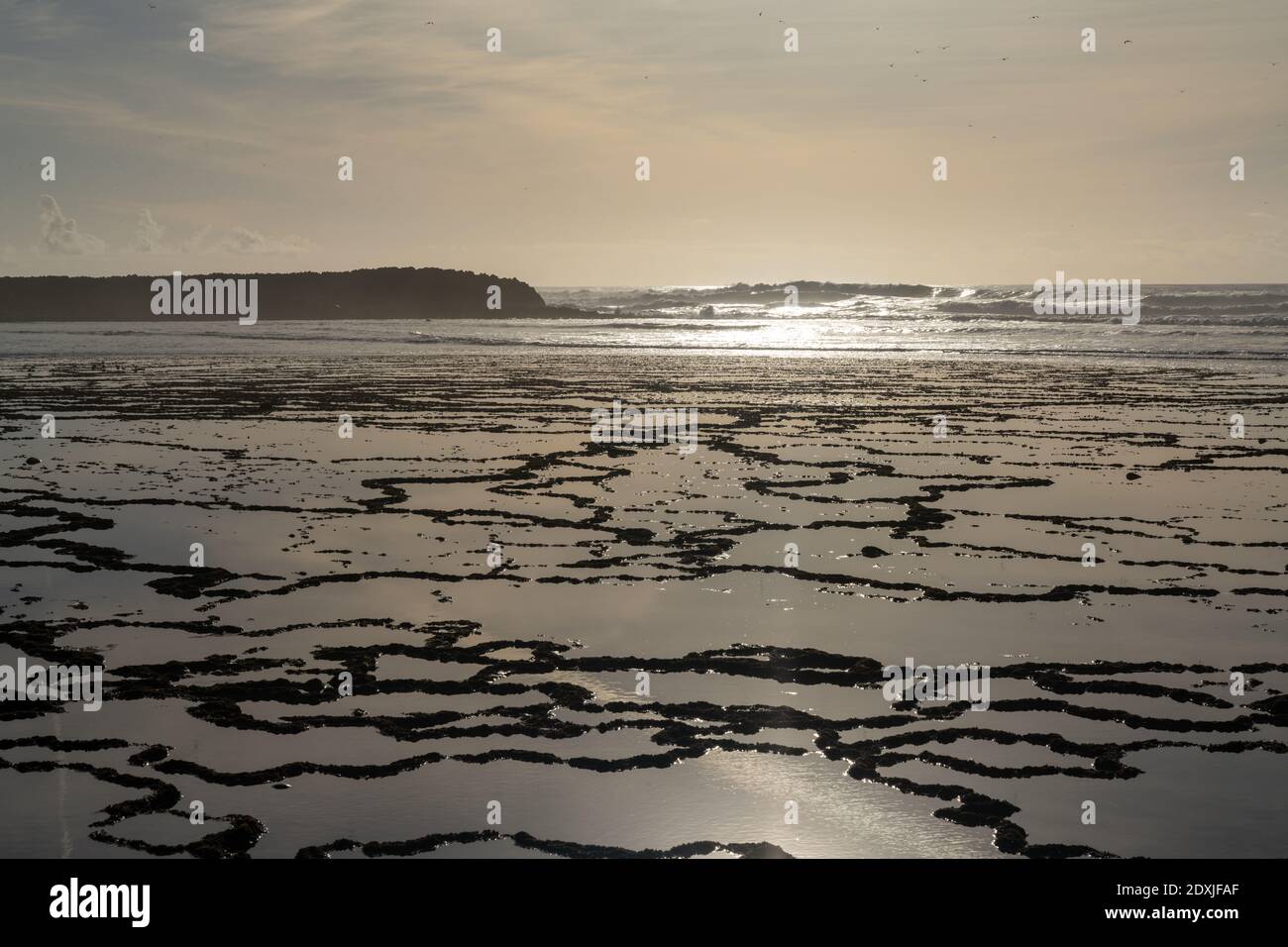 Warm golden evening light reflectiing in tidal pools on a rocky beach ...