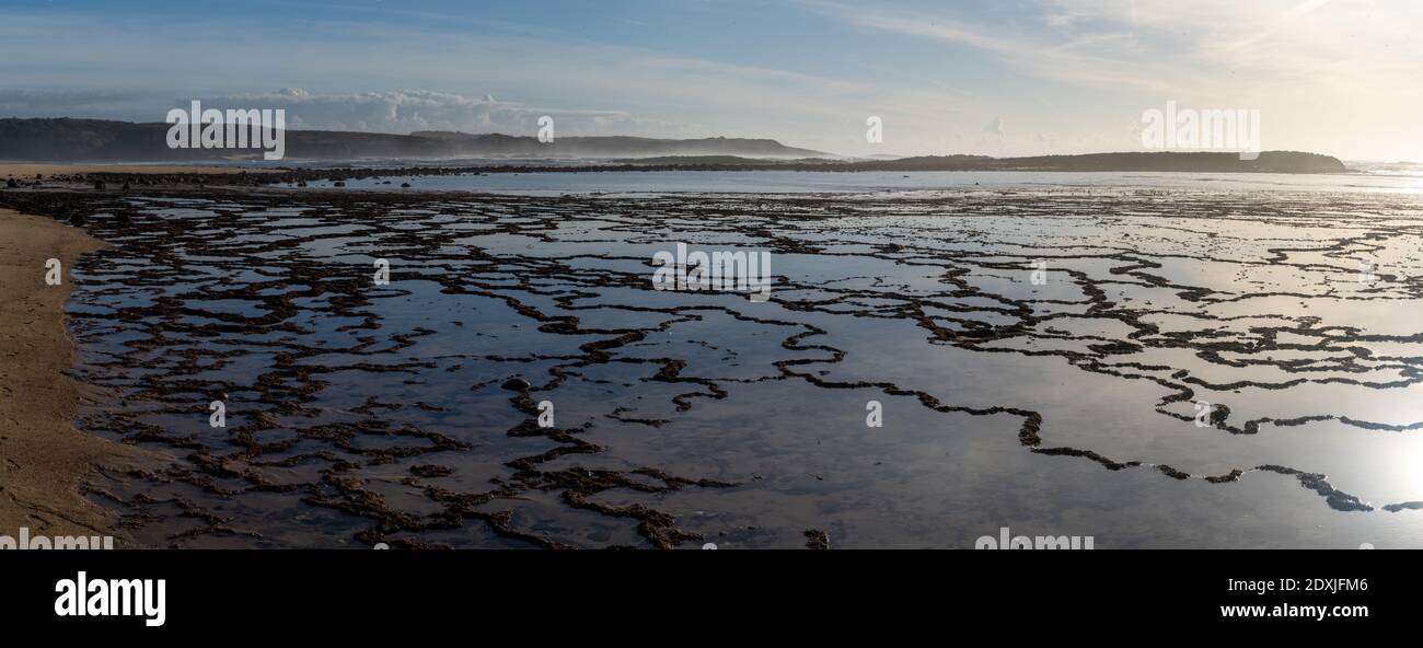 A panorama view of golden evening light reflectiing in tidal pools on a ...