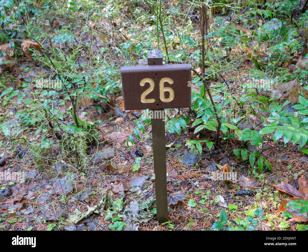 Camping Site Sign High Resolution Stock Photography and Images - Alamy