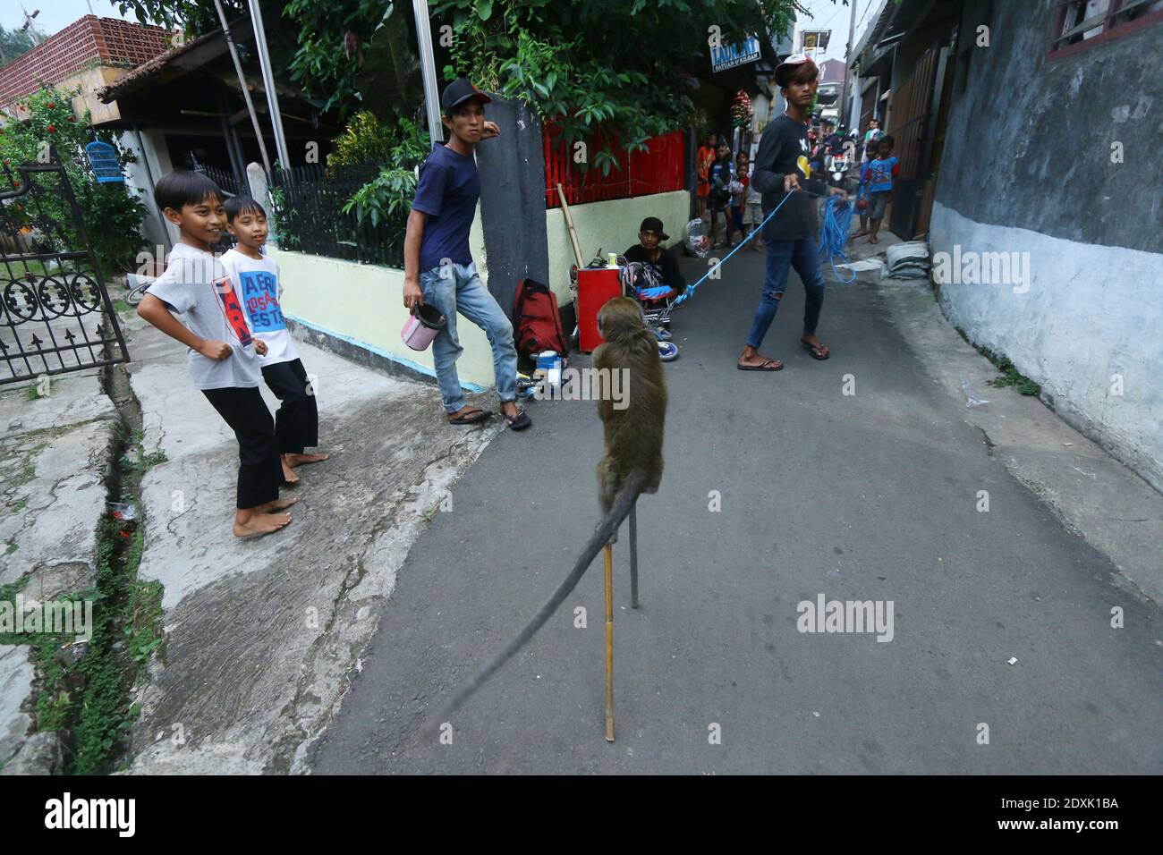 Exploitation of Animals Wrapped in Entertainment Stock Photo - Alamy