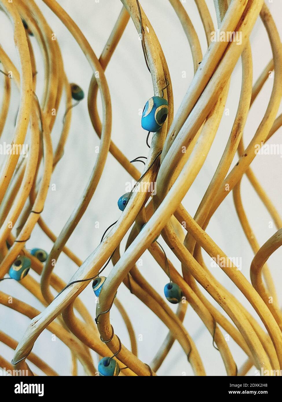 Tangled Plant High Resolution Stock Photography and Images - Alamy