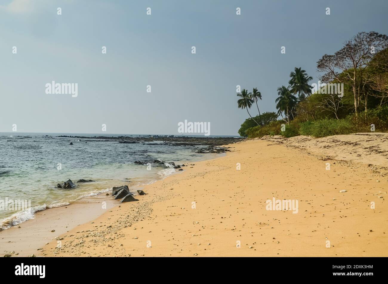 Beach near tropical forest on Gwa island Myanmar Stock Photo - Alamy