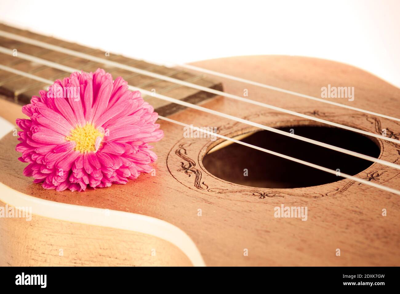 Ukulele in front view hi-res stock photography and images - Alamy