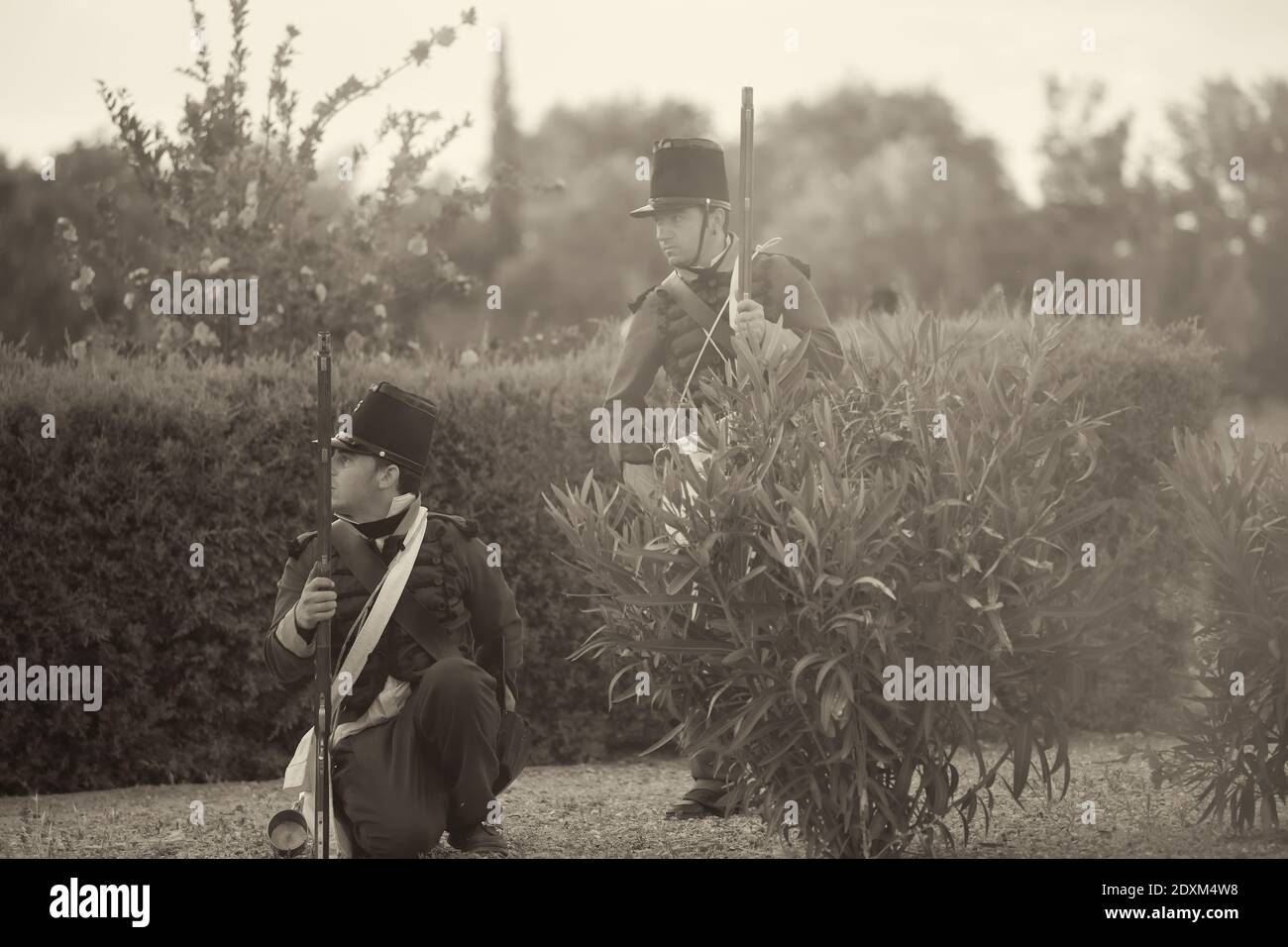 The battle of albuera hi-res stock photography and images - Alamy