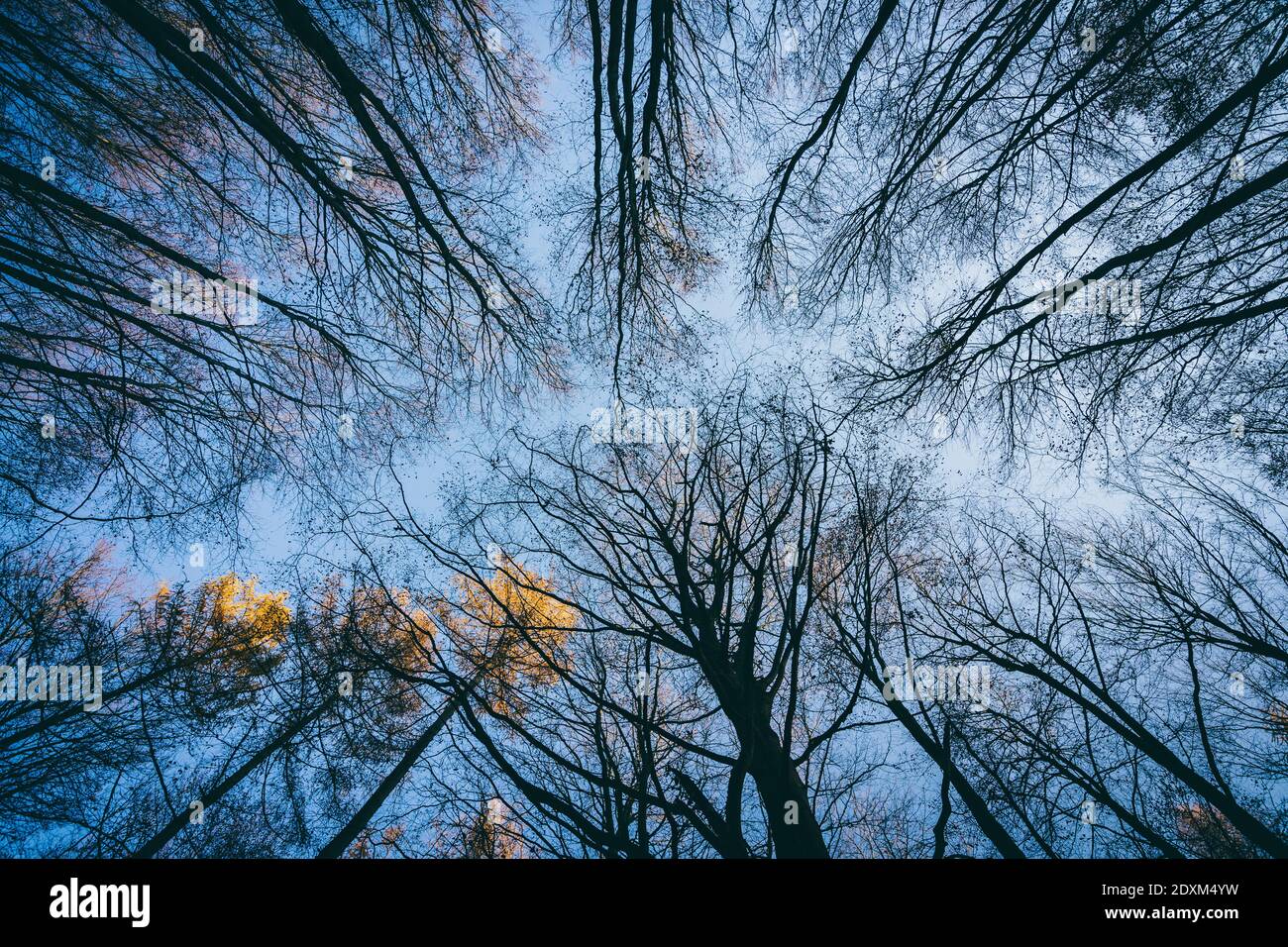 From a different perspective hi-res stock photography and images - Alamy