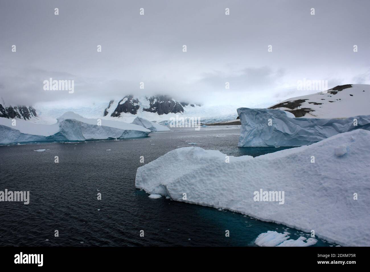 Iceberg in the bay on the Danco Coast in Antarctica Stock Photo - Alamy
