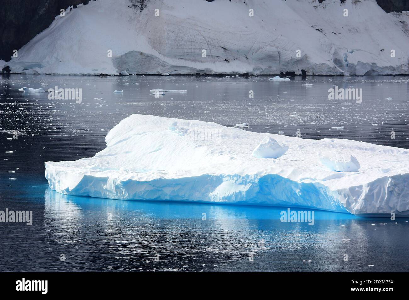 Iceberg in the bay on the Danco Coast in Antarctica Stock Photo - Alamy