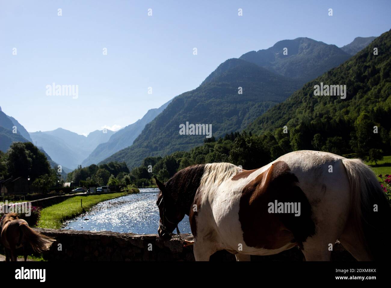 llustration of daily life in FRANCE. Illustration de vie quotidienne en ...