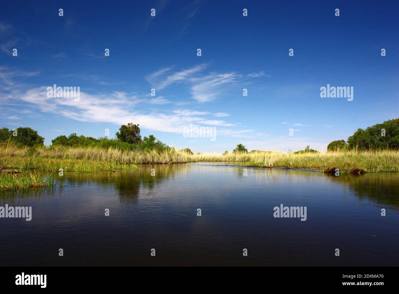 Okavango wetland expedition hi-res stock photography and images - Alamy