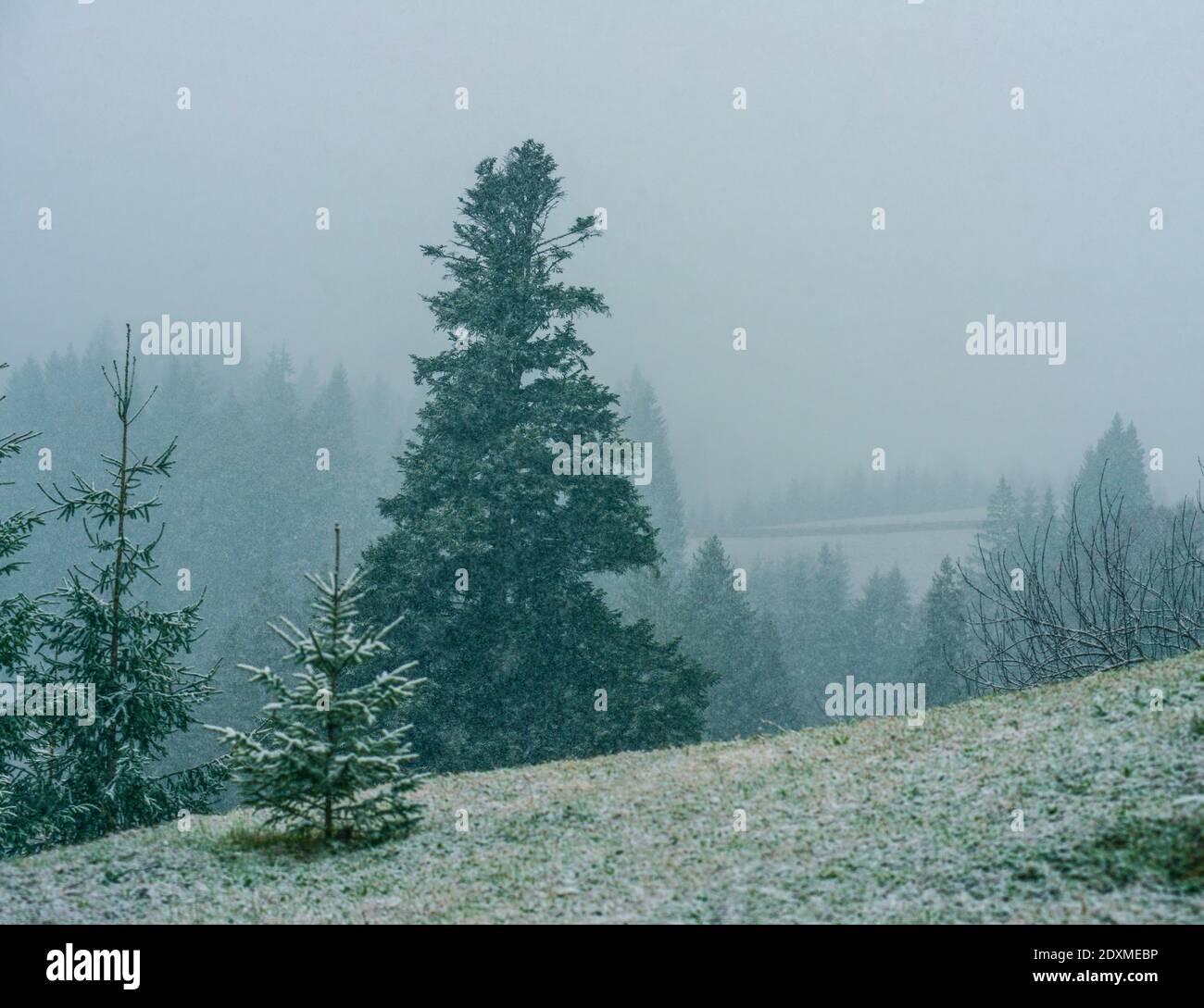 Mountains winter resort silence beautiful view fresh air Stock Photo ...