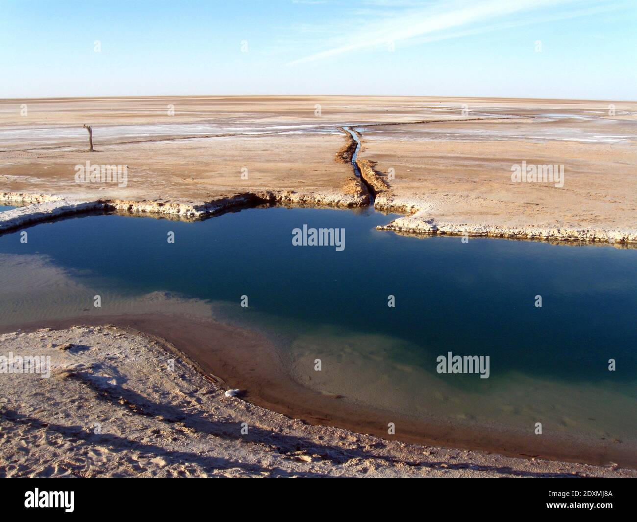 Salt lake (chott) in tunisian desert Stock Photo - Alamy