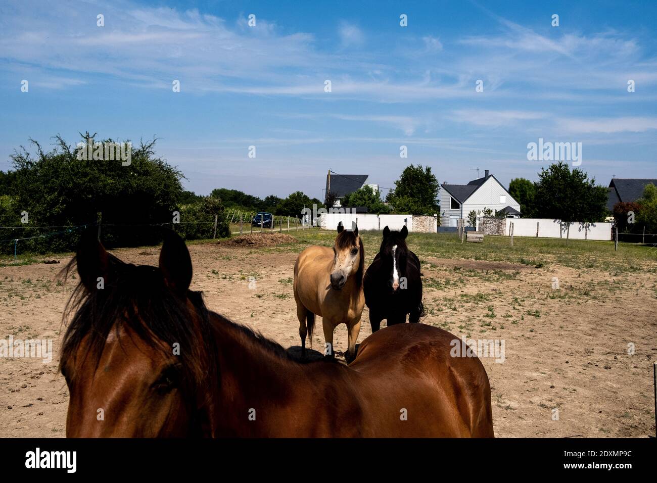 Illustration of daily life in France. Illustration de vie quotidienne ...