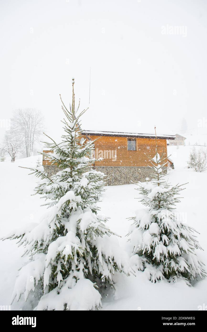 Mountains winter resort silence beautiful view fresh air Stock Photo ...