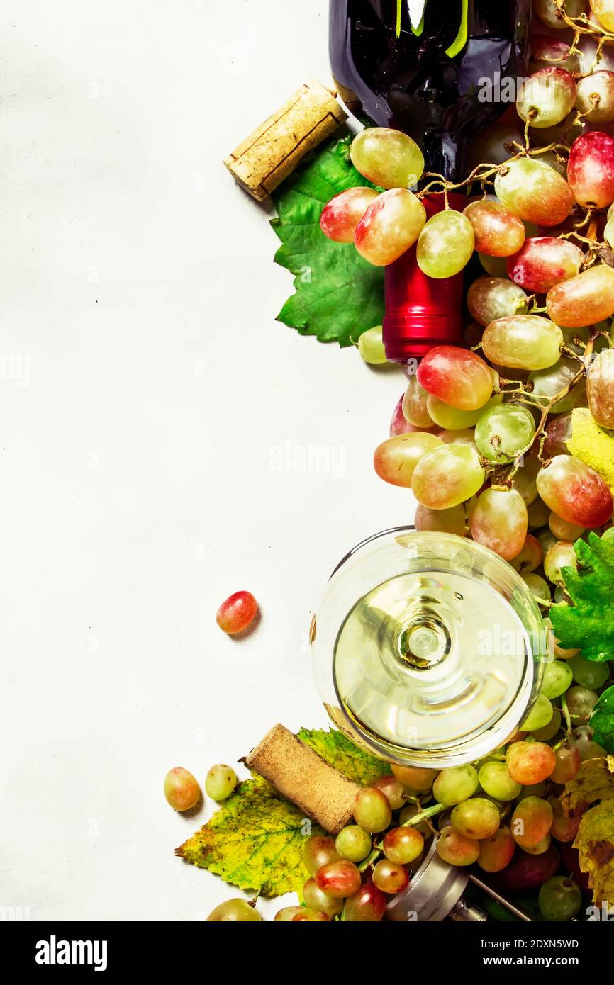 Cortese grapes hi-res stock photography and images - Alamy