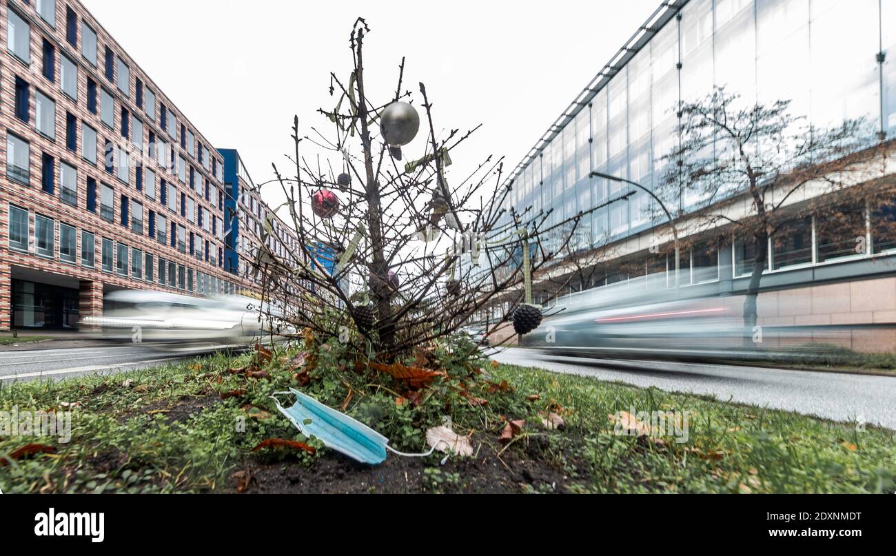 Dead fir tree hi-res stock photography and images - Alamy