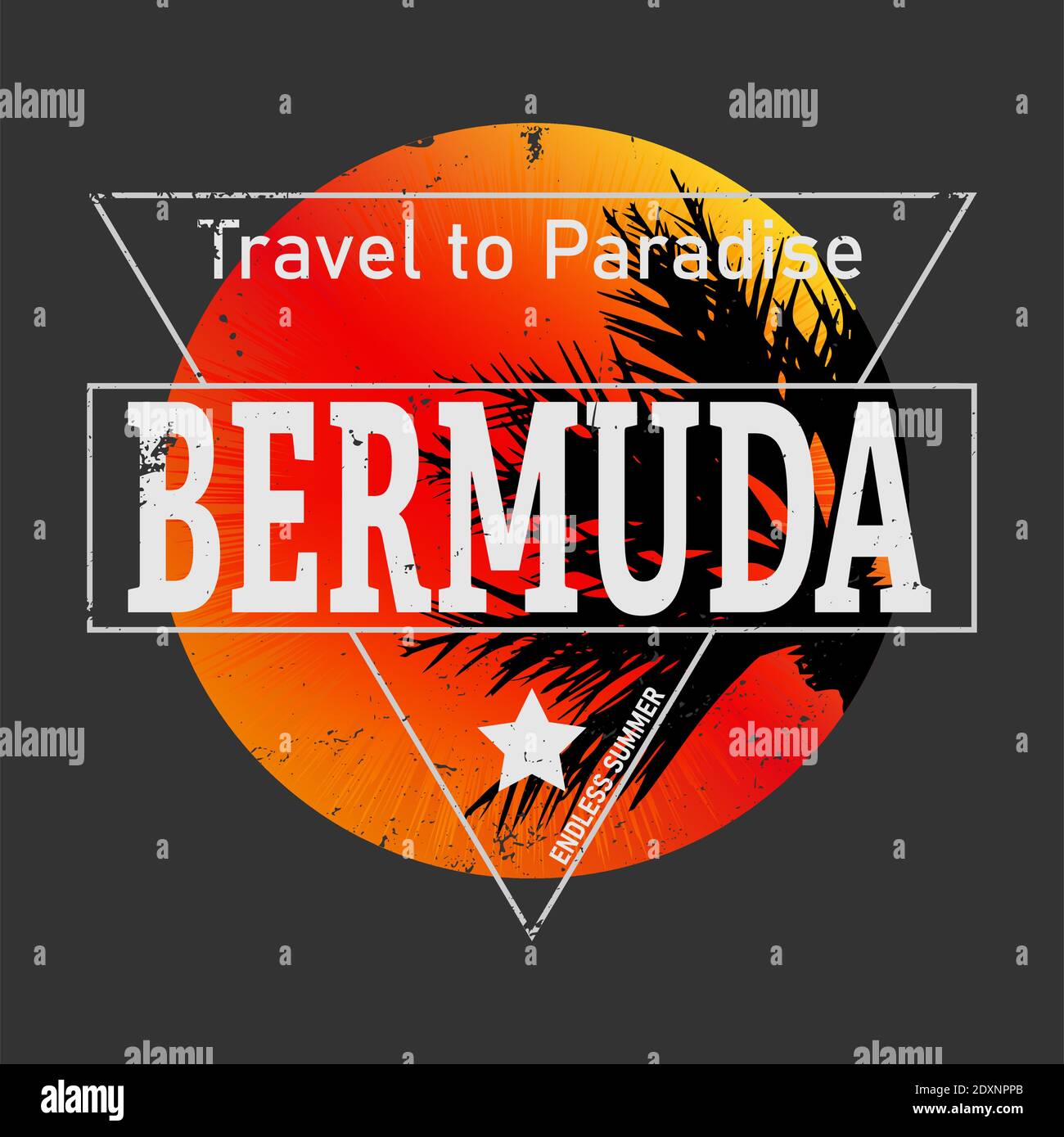 bermuda triangle tee graphic on a dark background vector design Stock ...