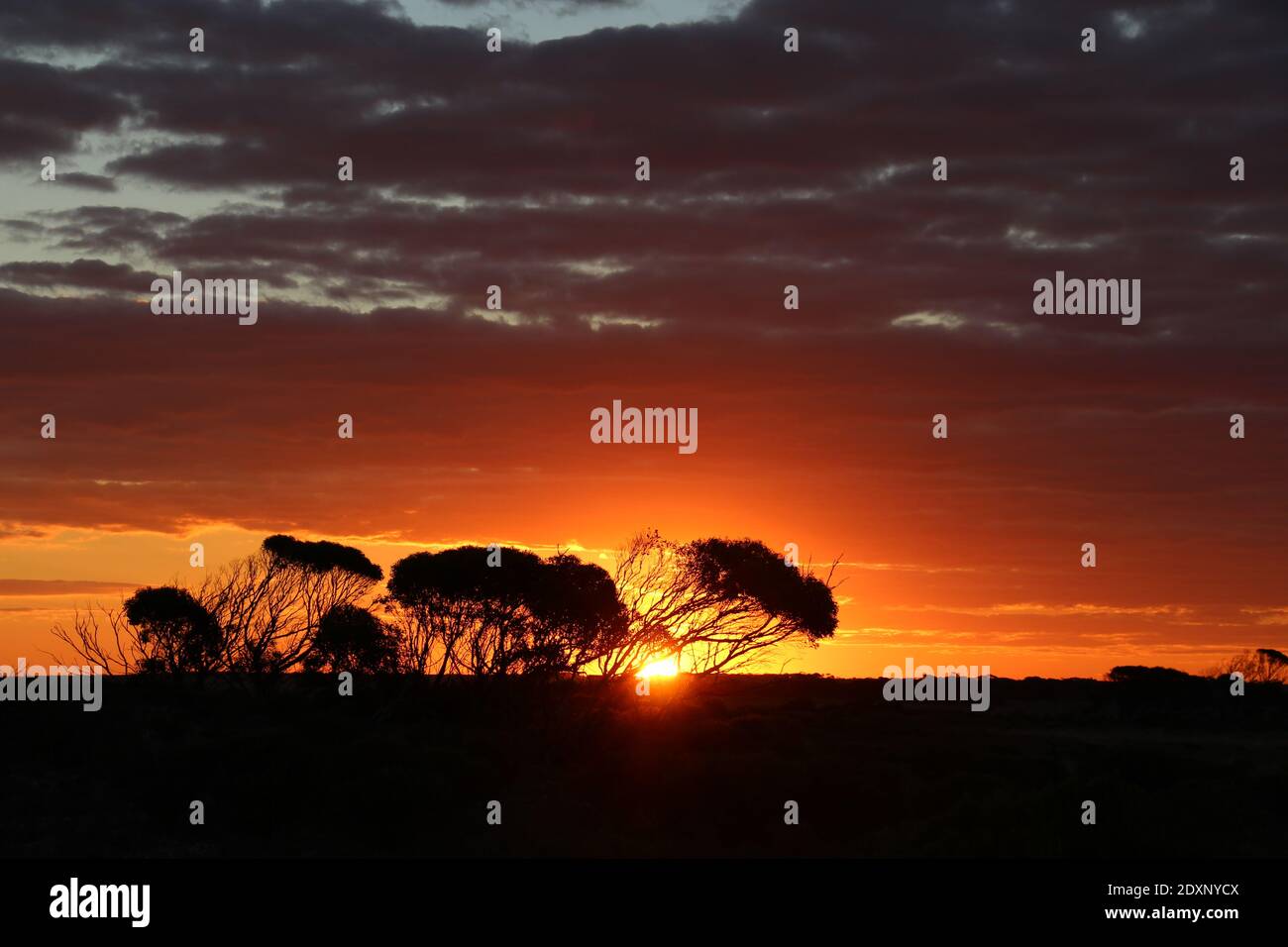 Ceduna hi-res stock photography and images - Alamy