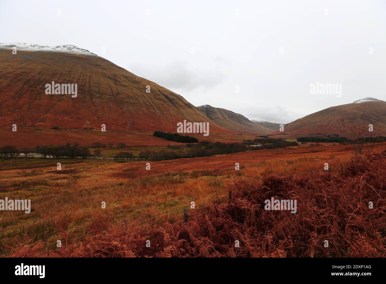 The autumn landscape of the Scottish Highlands Stock Photo - Alamy