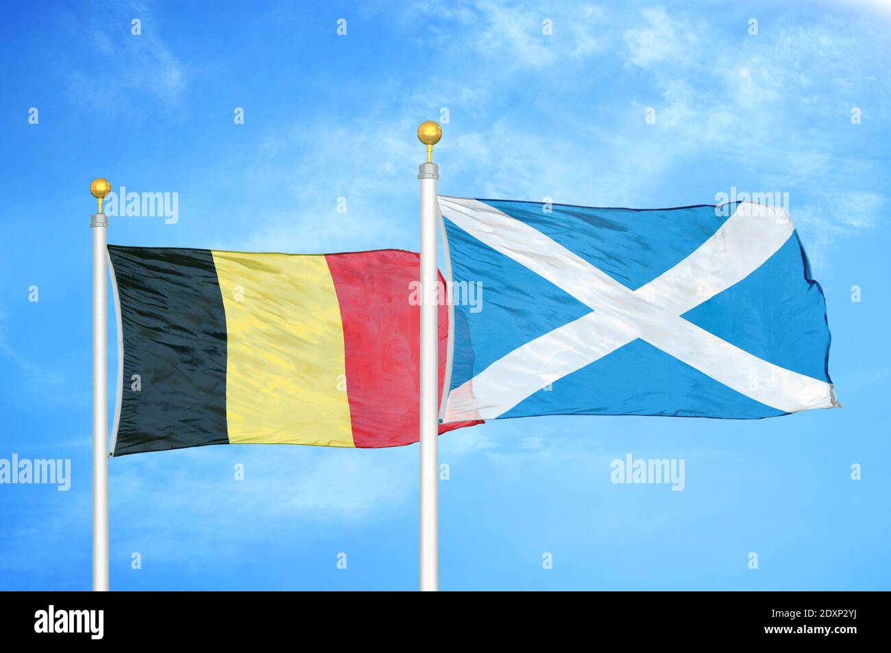 Belgian blue scotland hi-res stock photography and images - Alamy