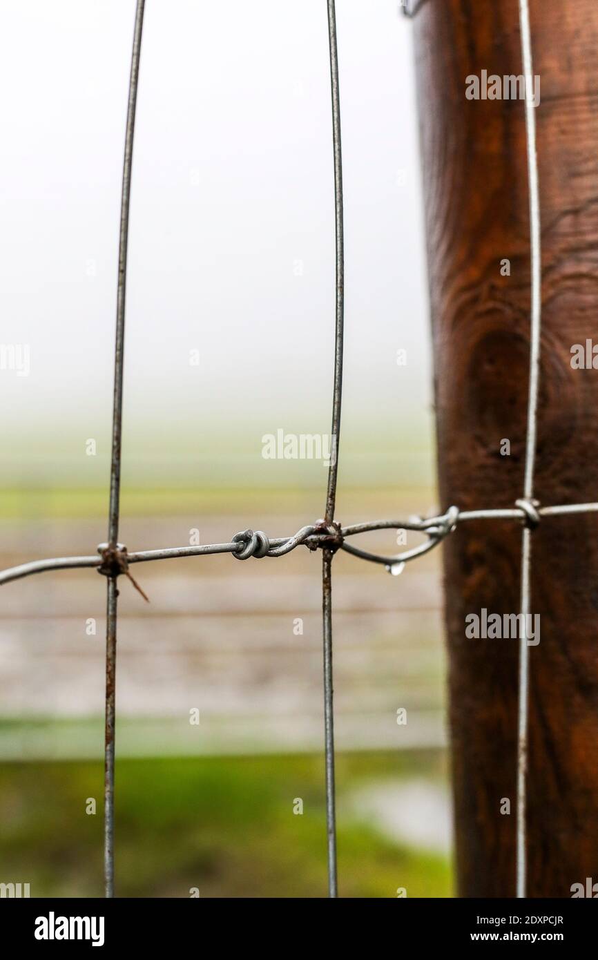 John barnby hi-res stock photography and images - Alamy