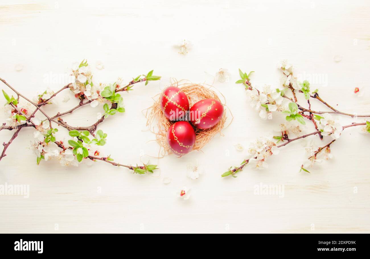 Easter eggs and spring white flowers on Easter white background with ...