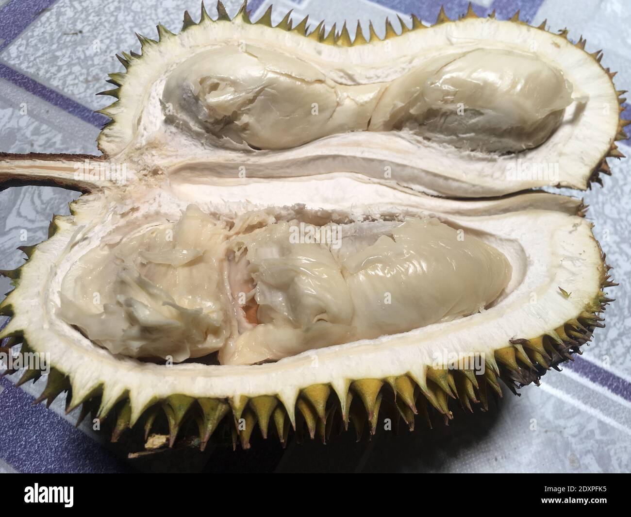 Cross section the fruit the durian hi-res stock photography and images ...