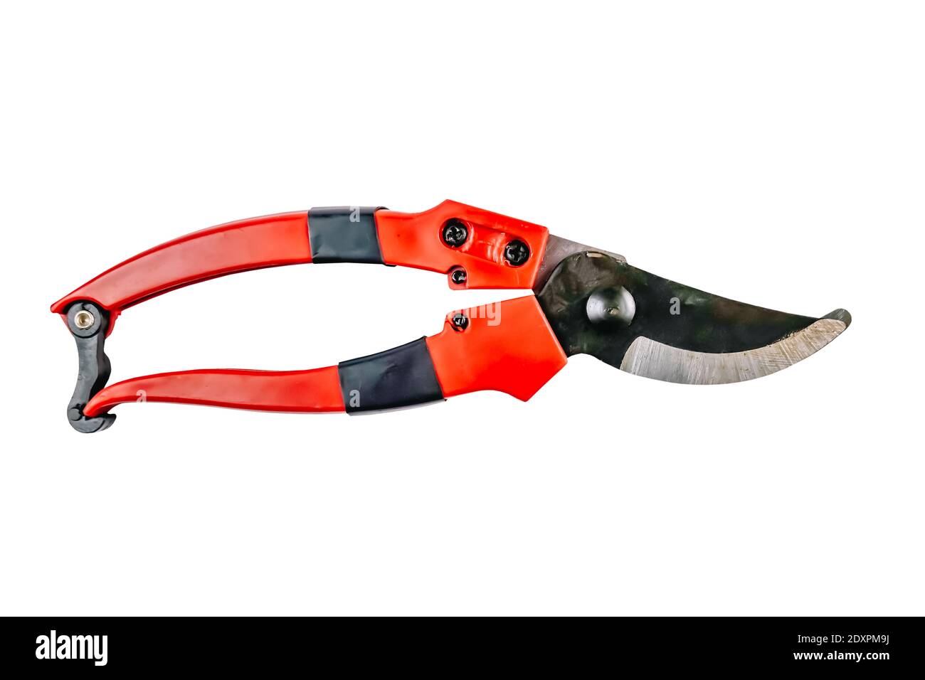 Black and white garden hedge Cut Out Stock Images & Pictures - Alamy