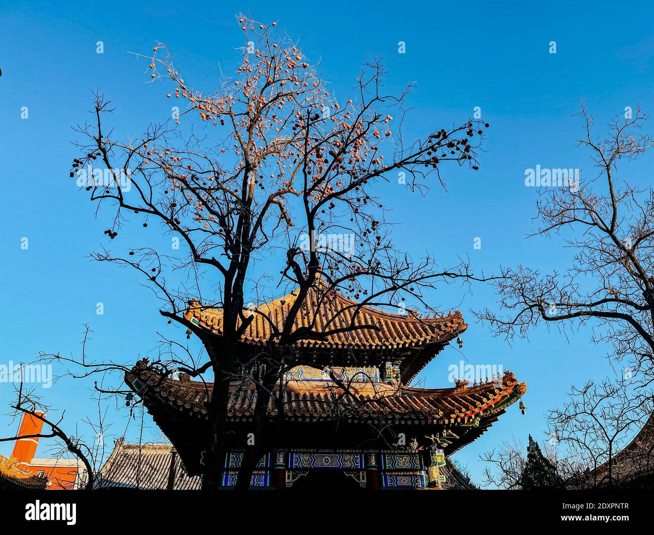 The Yonghe Temple (Lama Temple) in Beijing, China Stock Photo - Alamy