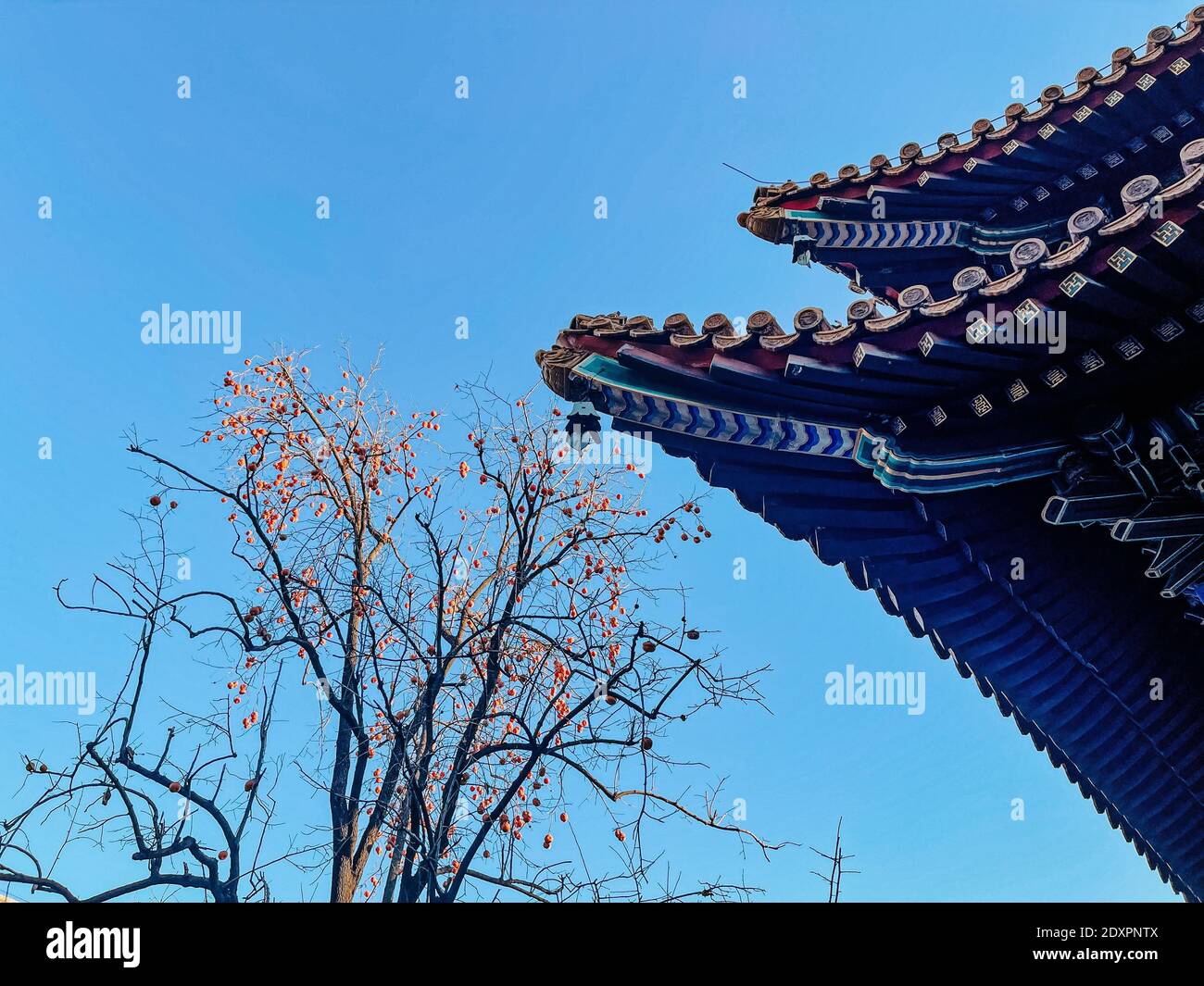 The Yonghe Temple (Lama Temple) in Beijing, China Stock Photo - Alamy