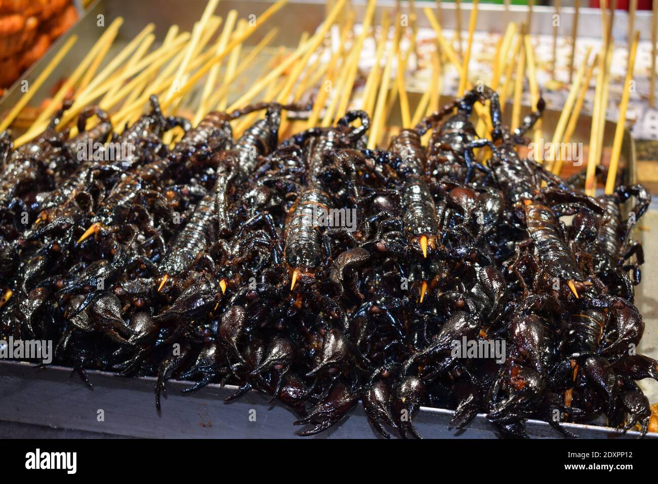 Scorpions eating hi-res stock photography and images - Alamy
