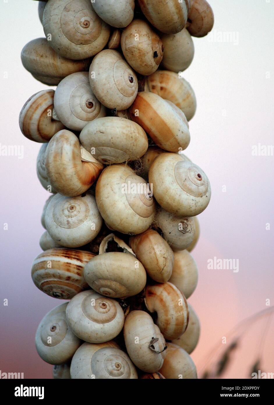 Clung hi-res stock photography and images - Alamy