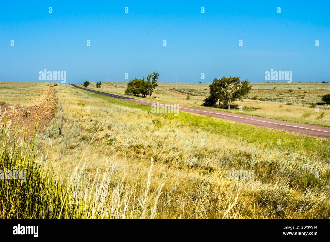 A gravel road surrounded by grass-covered fields and meadows Stock ...